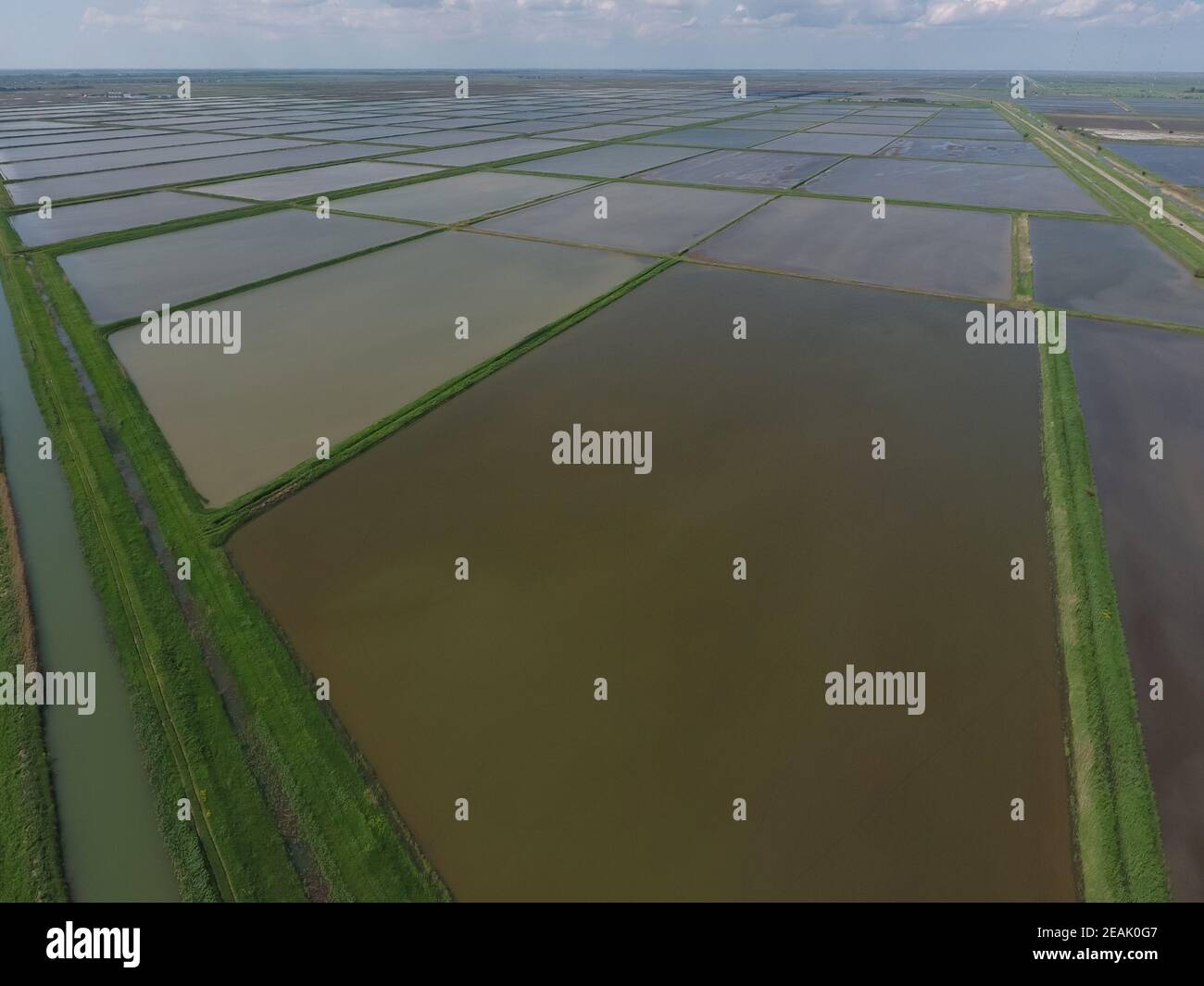 Flooded rice paddies. Agronomic methods of growing rice in the fields ...