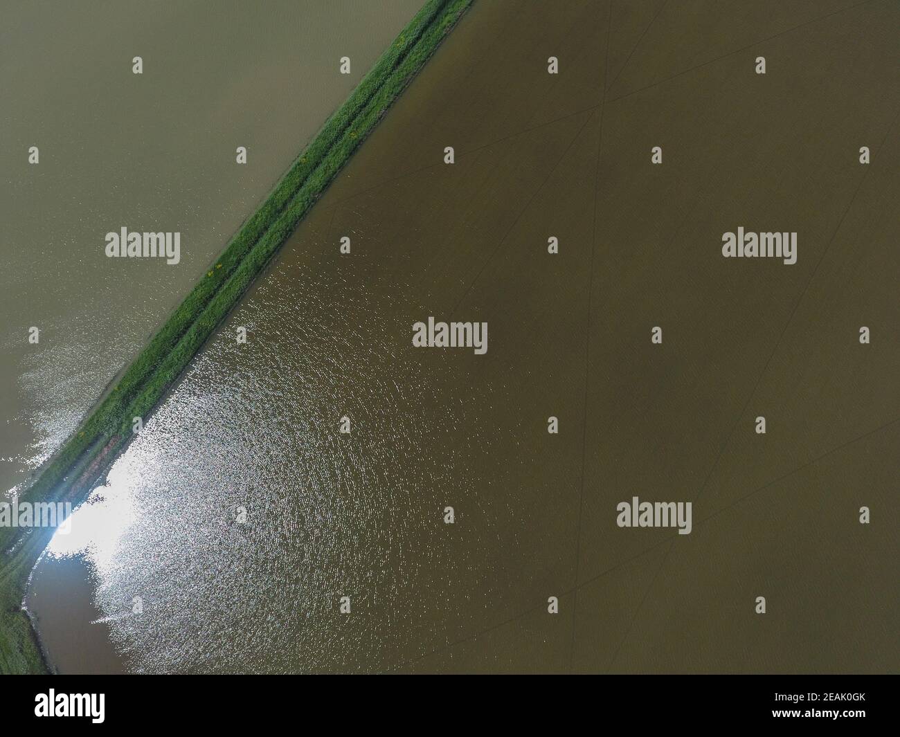 Flooded rice paddies. Agronomic methods of growing rice in the fields ...