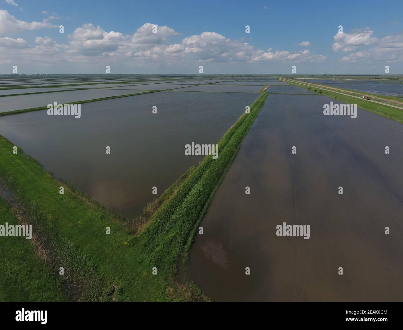 Paddy fields water irrigation canal hi-res stock photography and images ...