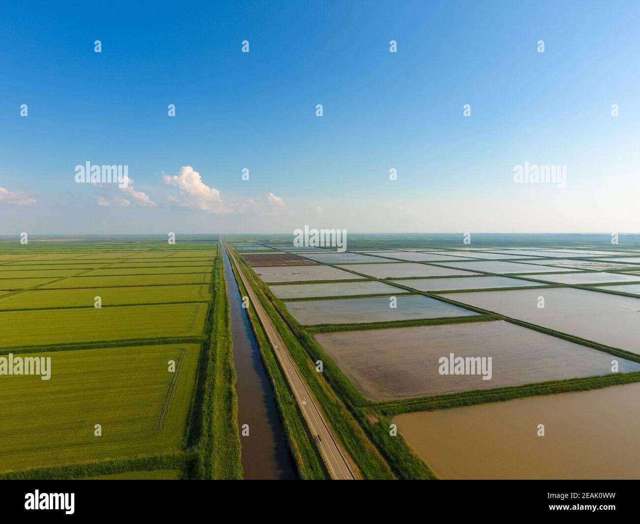 The rice fields are flooded with water. Flooded rice paddies. Agronomic ...