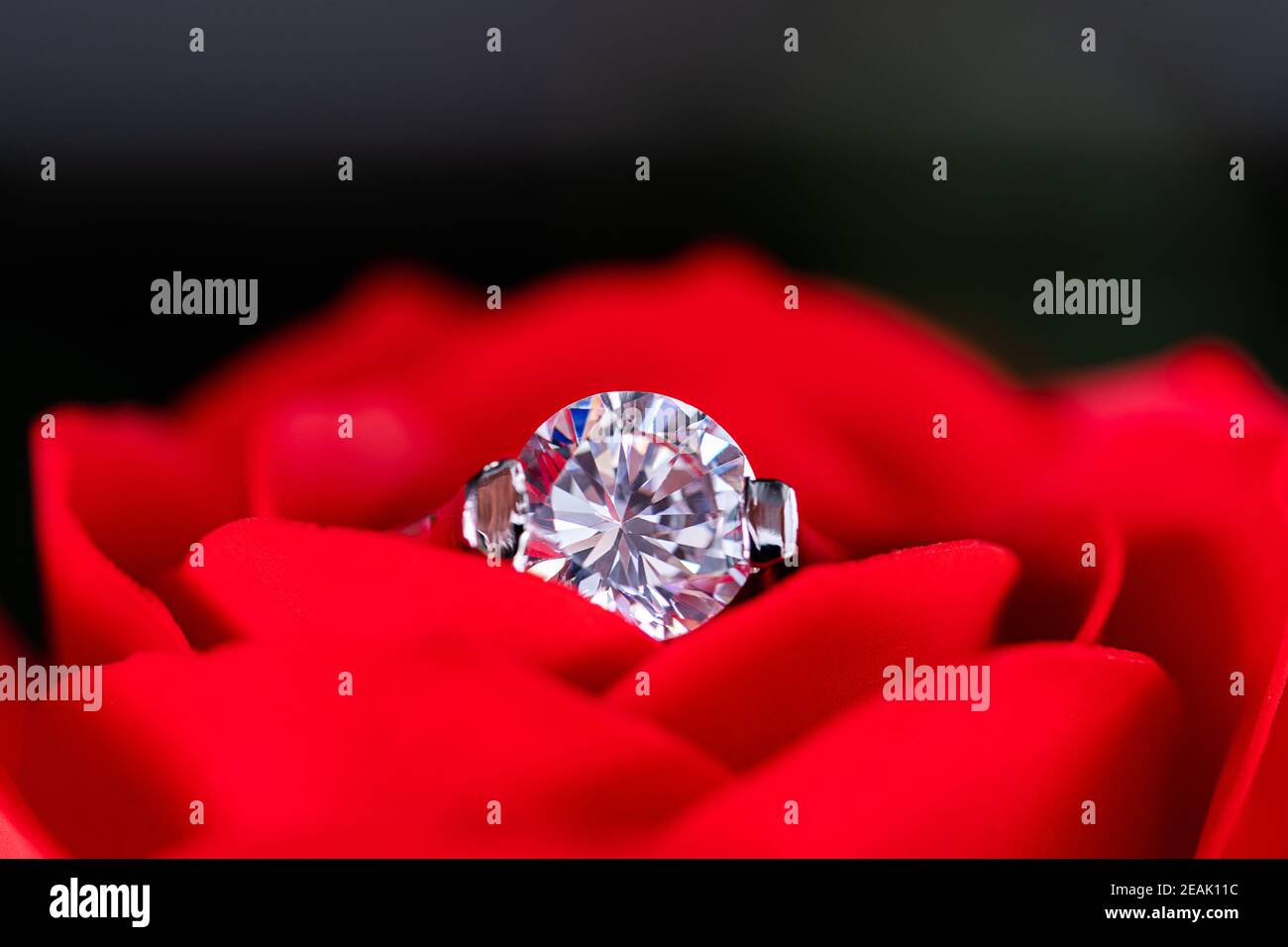 Diamond wedding rings on red roses Stock Photo - Alamy