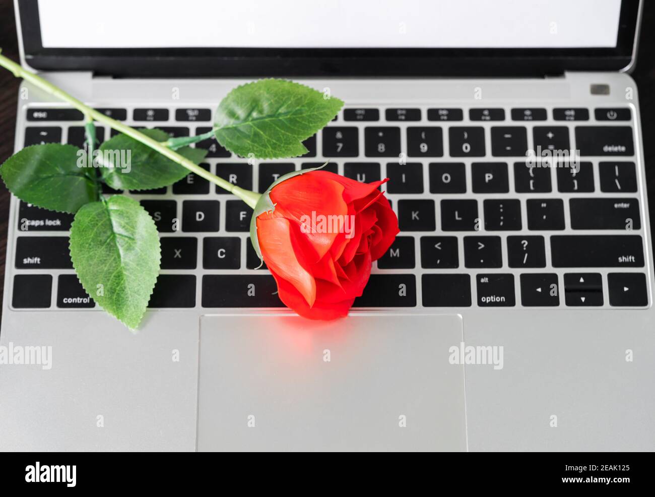 Red rose and the laptop on deck Stock Photo - Alamy