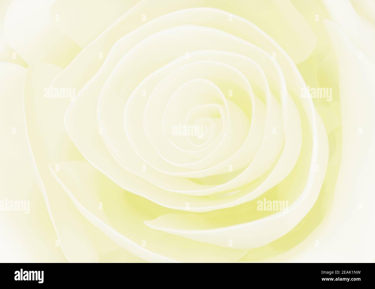 elegant light yellow rose flower background, 3d render Stock Photo - Alamy