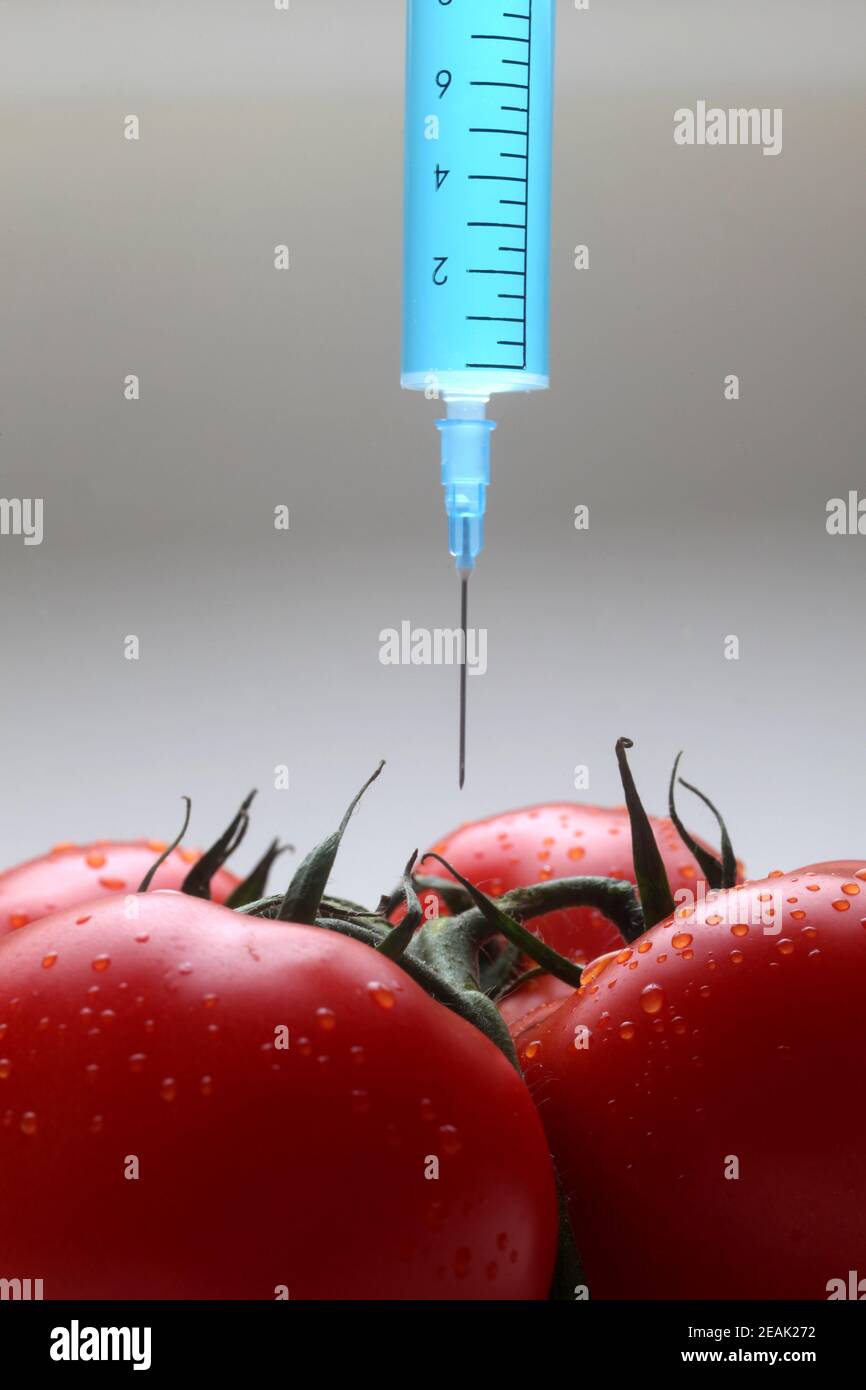 Injection into fresh red tomato Stock Photo - Alamy