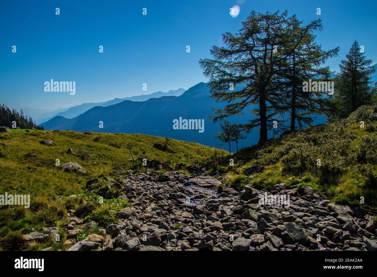 swiss alps landscape Stock Photo - Alamy