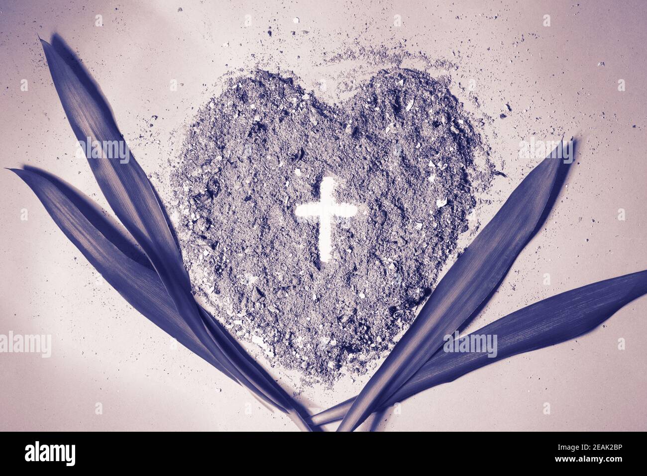 Ash wednesday catholic hi-res stock photography and images - Alamy