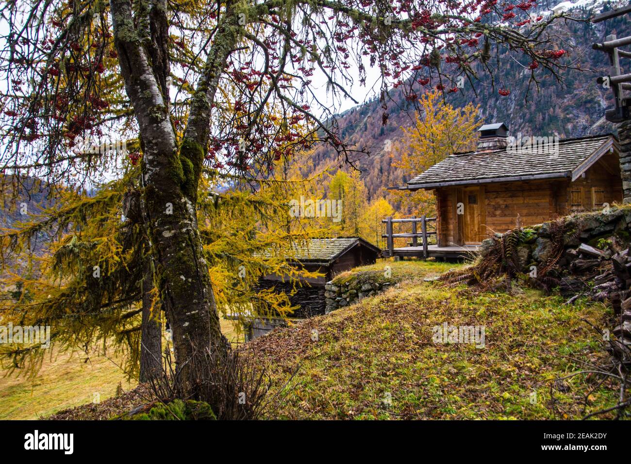 landscape of the french alps in autumn Stock Photo - Alamy