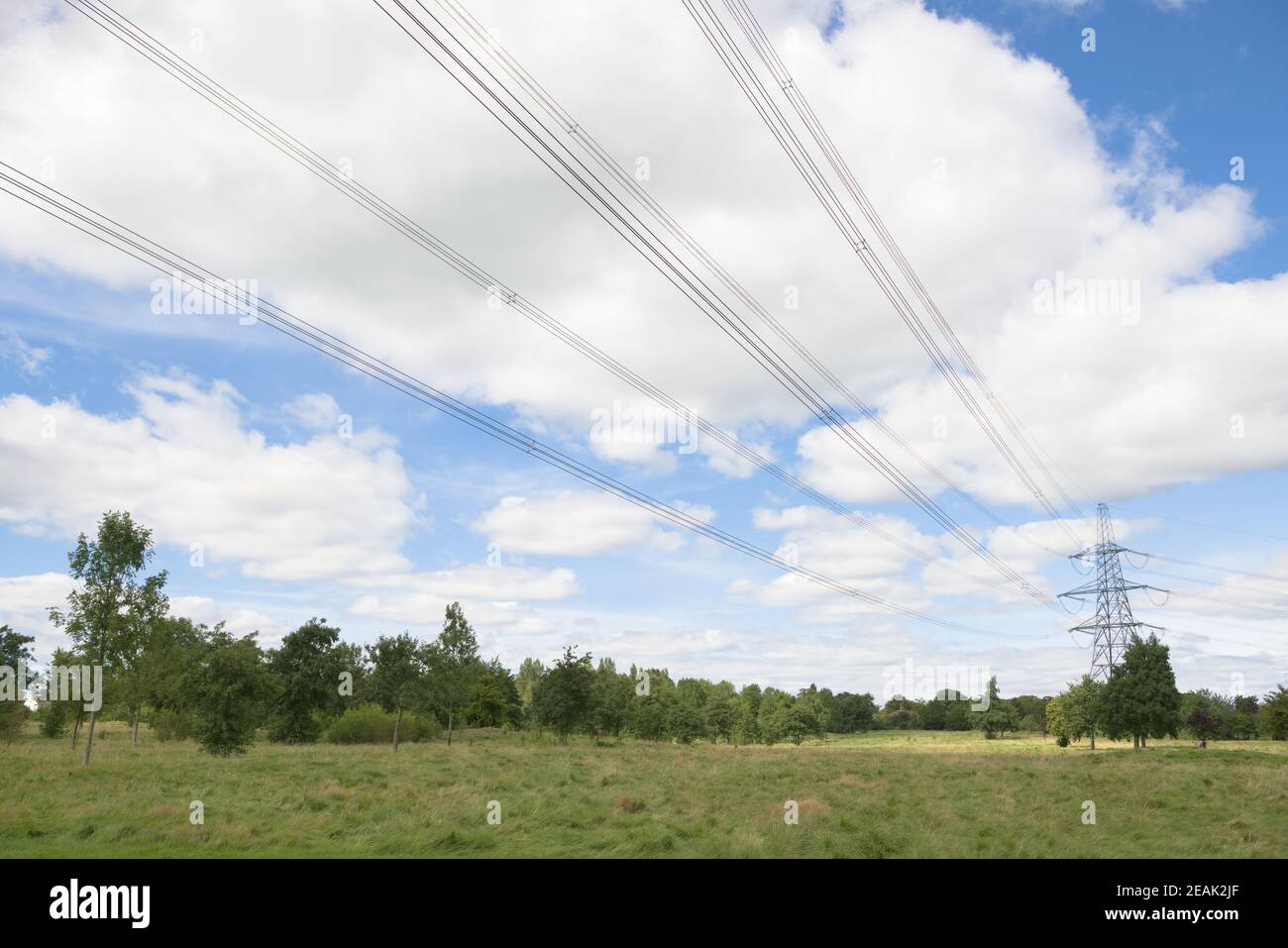 Wide angle lines of over head power cables converging to a pylon Stock ...