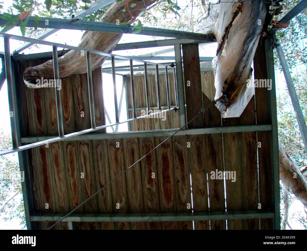 Luxury treehouse hi-res stock photography and images - Alamy