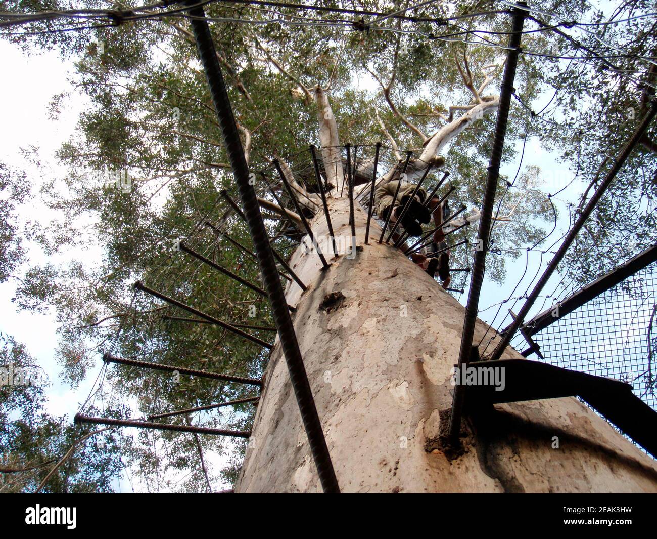 Luxury treehouse hi-res stock photography and images - Alamy