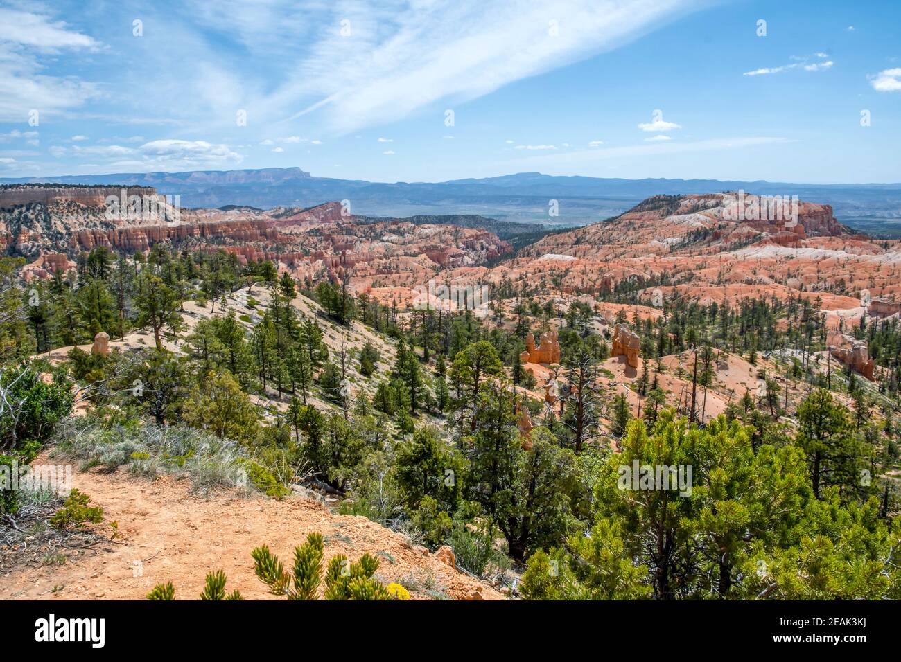 Red Rocks Hoodoos in Bryce Point at Bryce Canyon National Park, Utah Stock Photo - Alamy