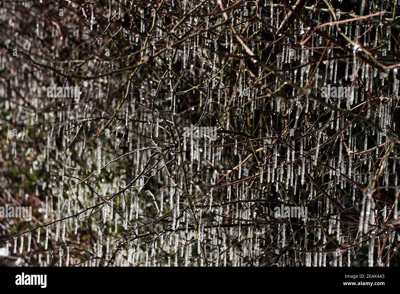 Fantastic icicle hi-res stock photography and images - Alamy