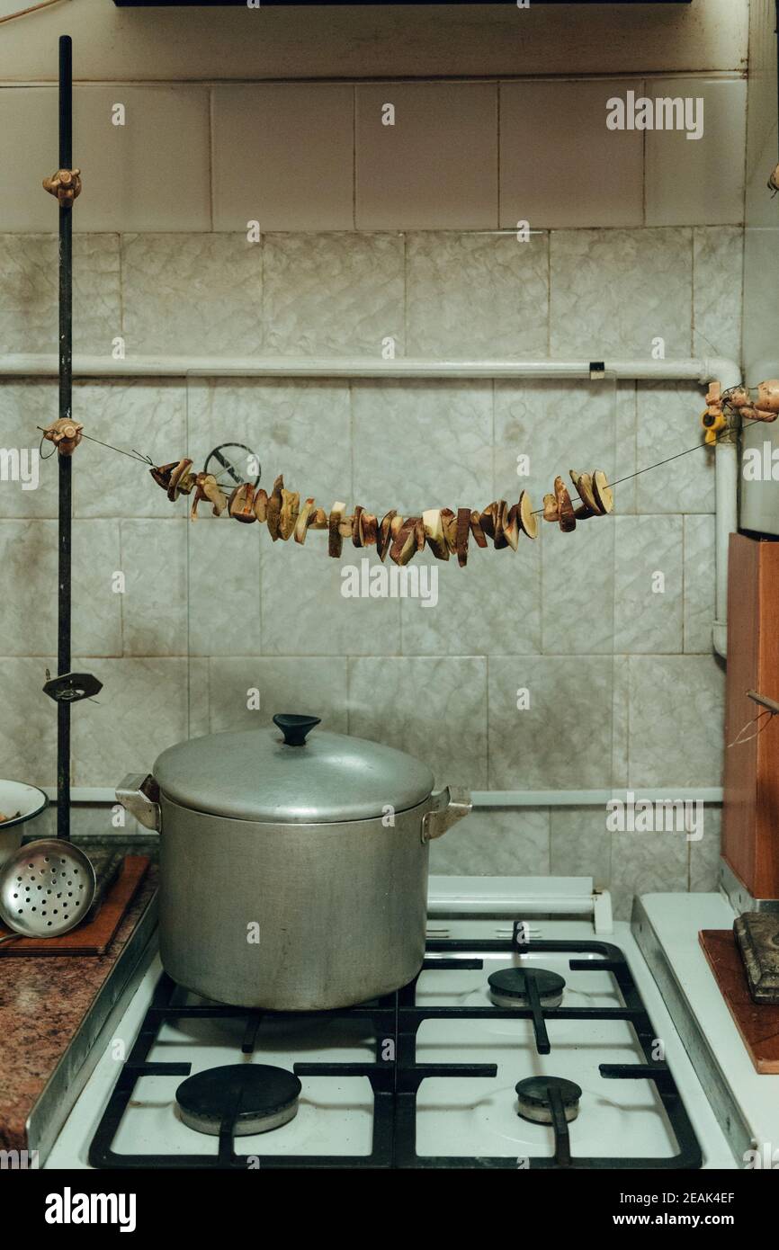 Mushrooms drying hi-res stock photography and images - Alamy