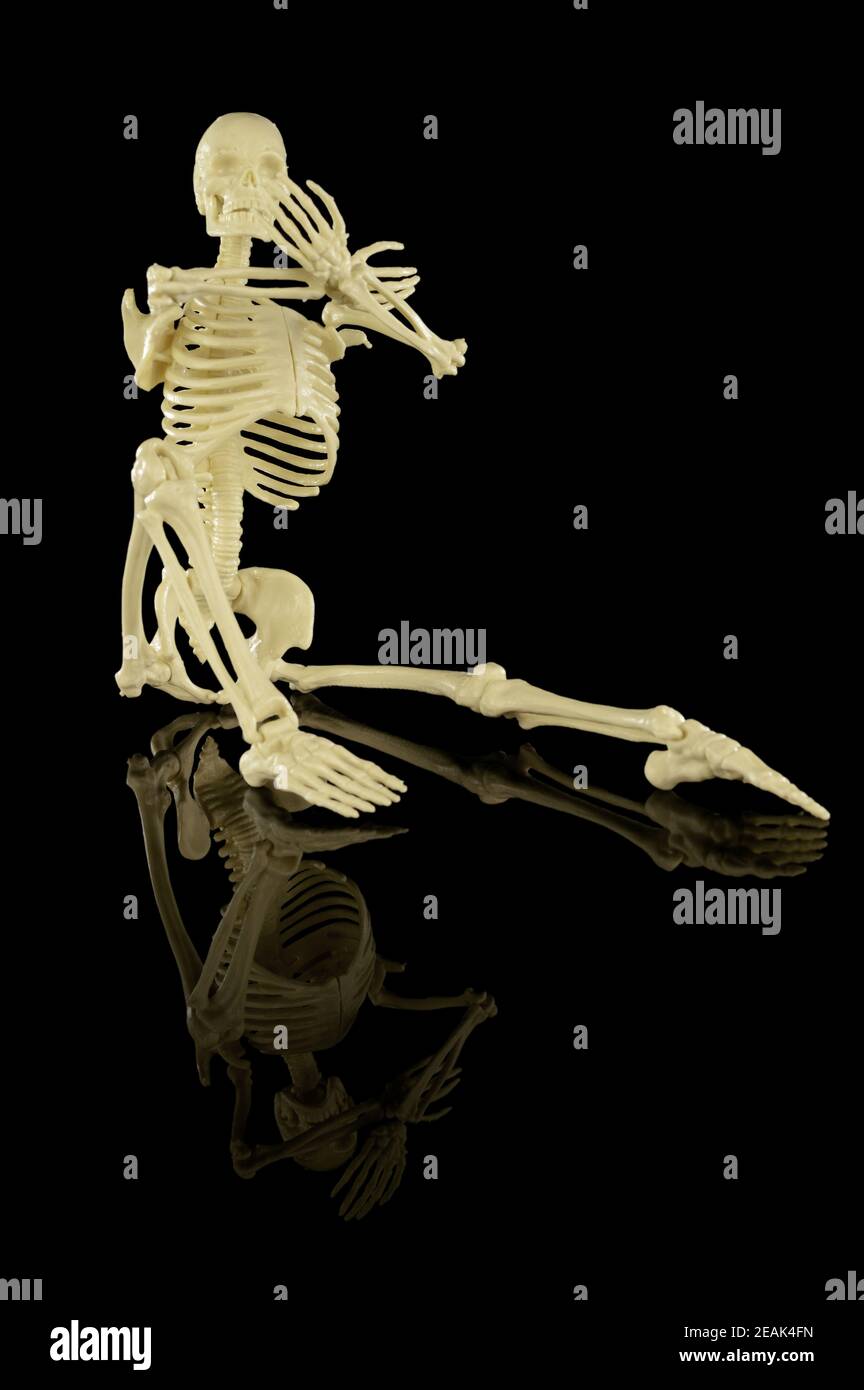 Complete human skeleton hi-res stock photography and images - Alamy