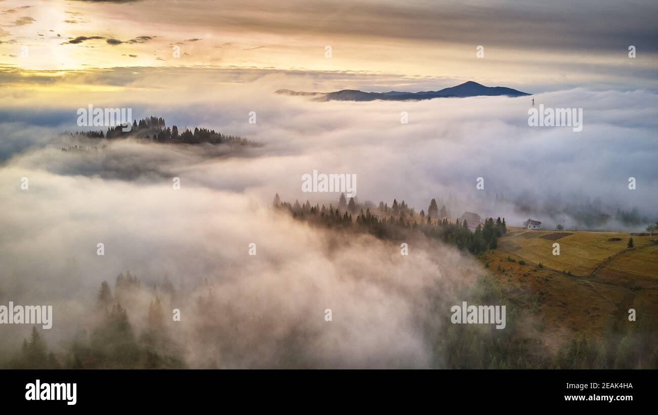 Fog covered forest mountain hi-res stock photography and images - Alamy