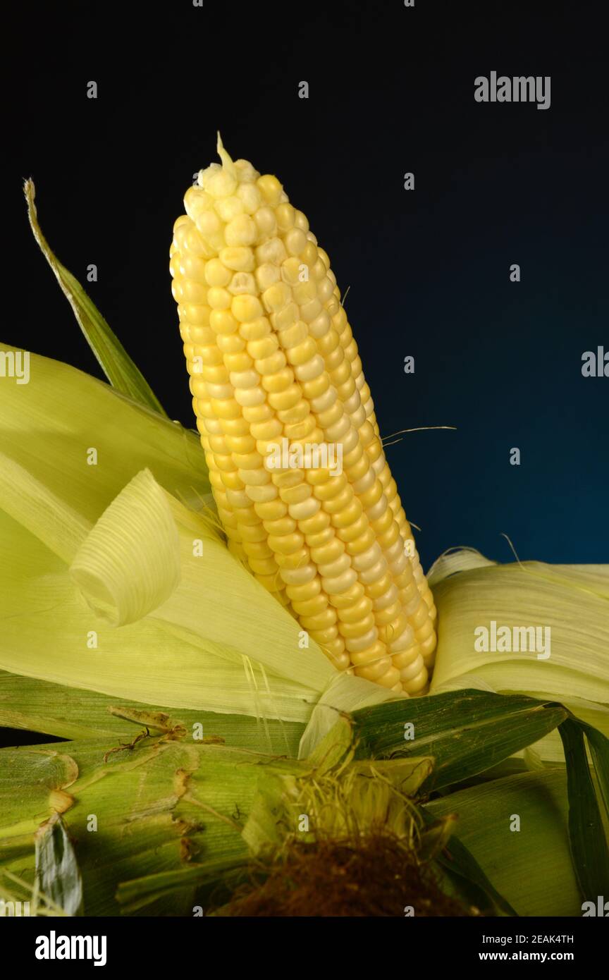 Corn On The Cobb Stock Photo - Alamy