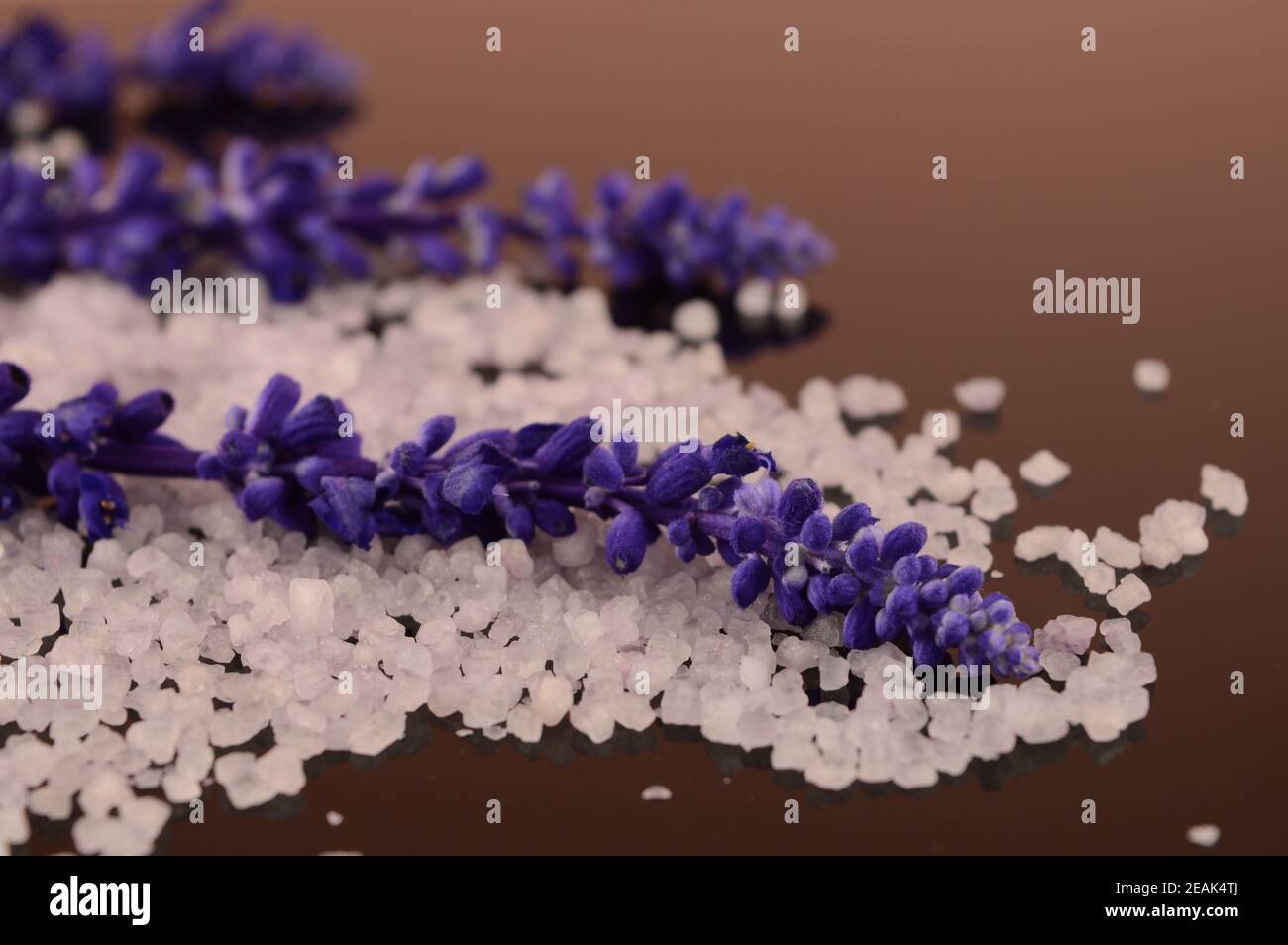 Smell salts hi-res stock photography and images - Alamy