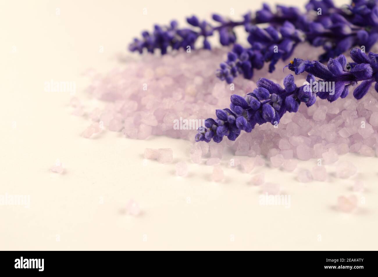 Smell salts hi-res stock photography and images - Alamy