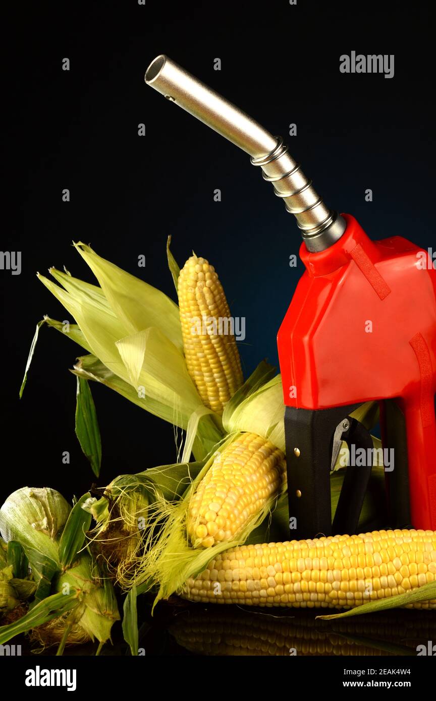Corn Based Fuel Stock Photo - Alamy