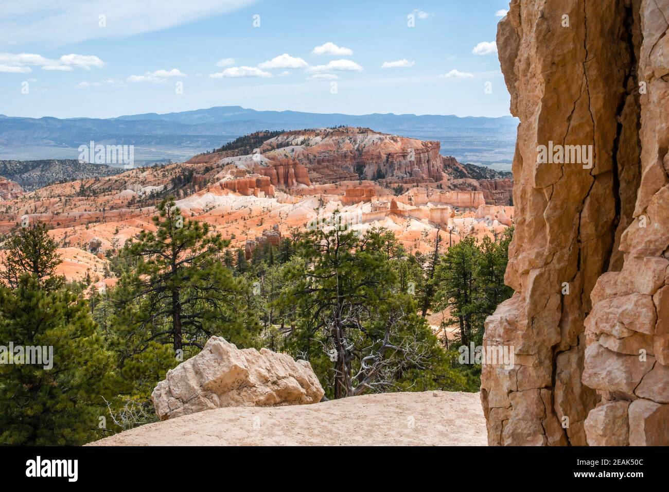 Red Rocks Hoodoos in Bryce Point at Bryce Canyon National Park, Utah Stock Photo - Alamy