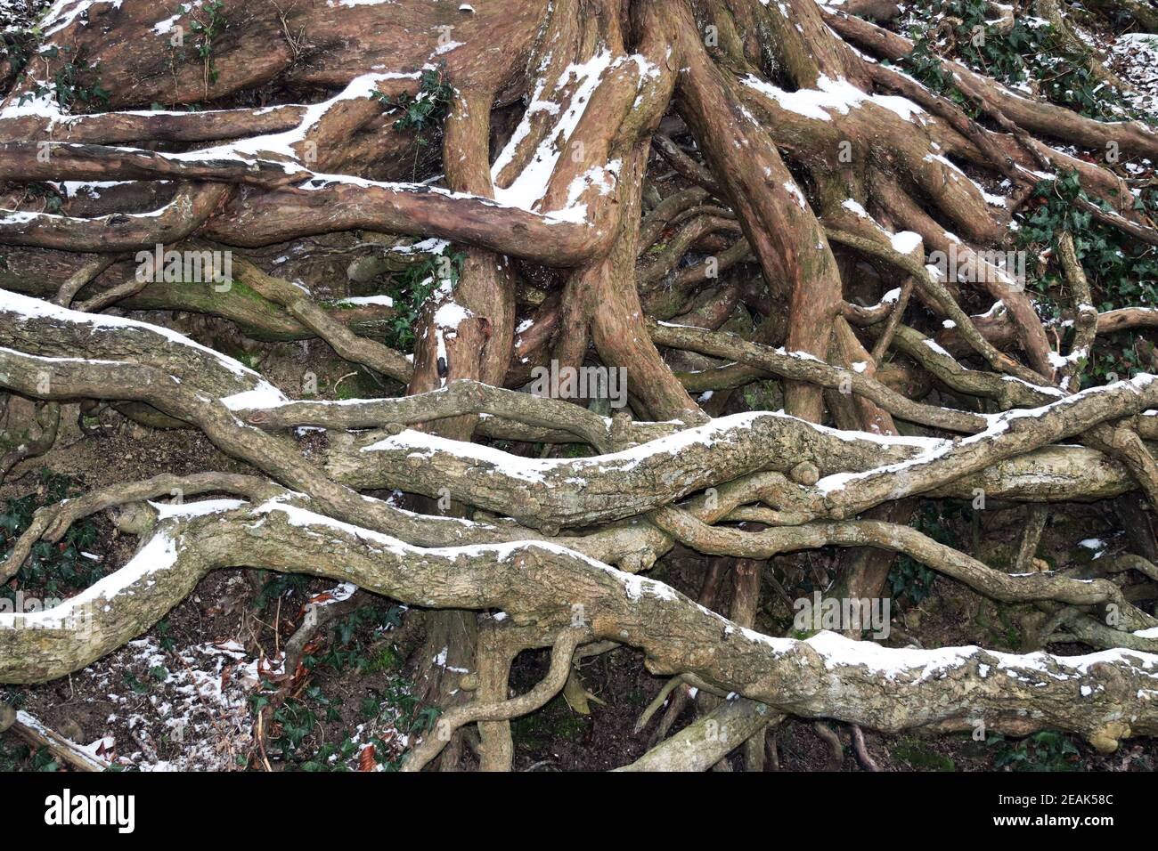 Folklore weather winter snow hi-res stock photography and images - Alamy