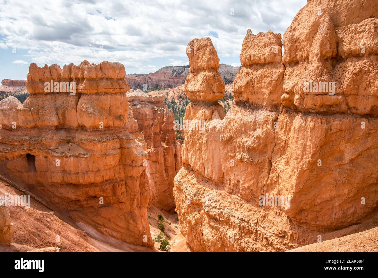 Red Rocks Hoodoos in Bryce Point at Bryce Canyon National Park, Utah ...