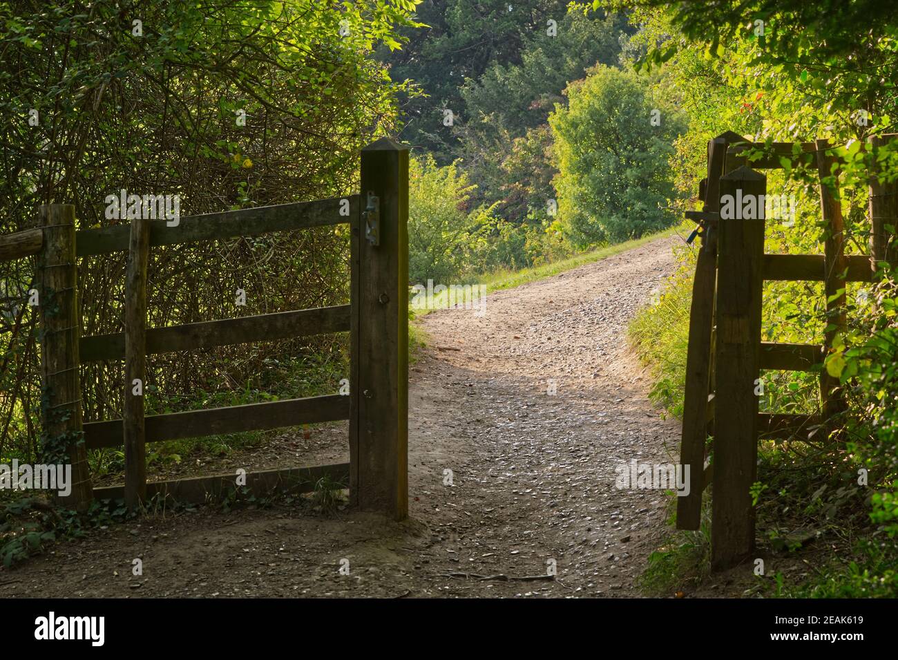 Path and gate in countryside, Surrey, England Stock Photo - Alamy