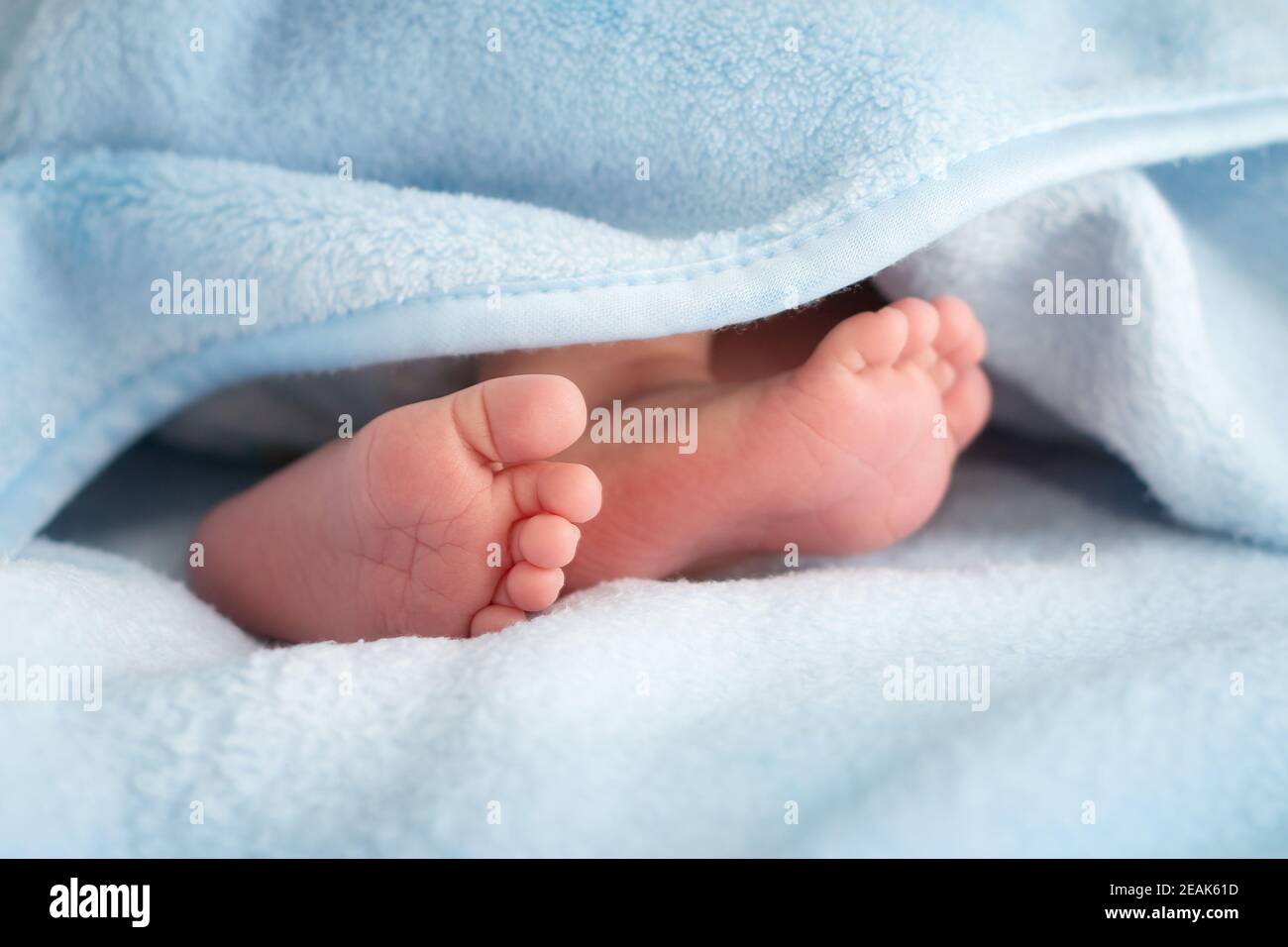 New born baby feet hi-res stock photography and images - Alamy