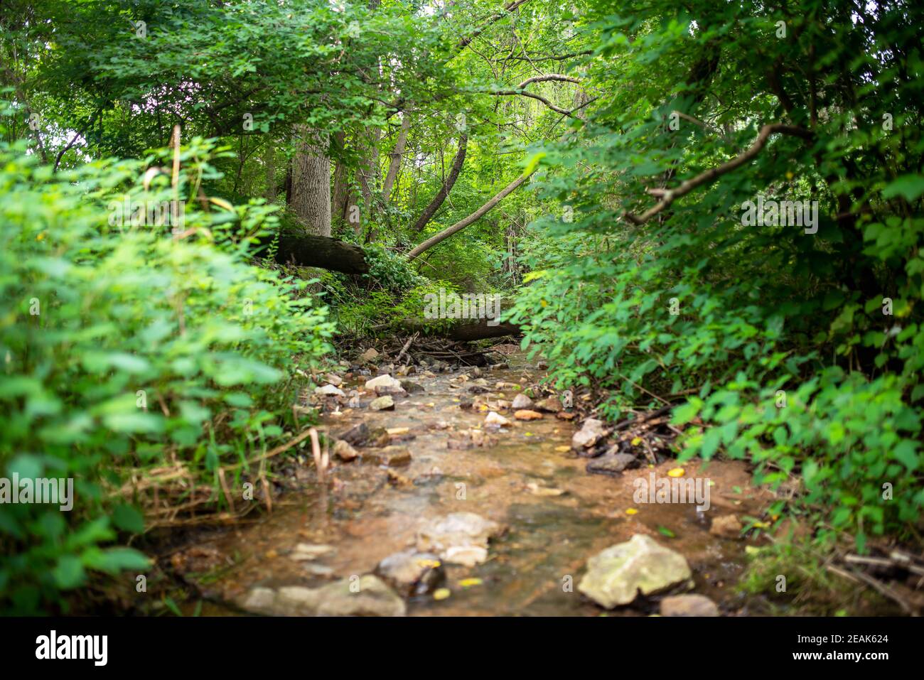 Pristine idyllic beautiful beauty nature hi-res stock photography and ...