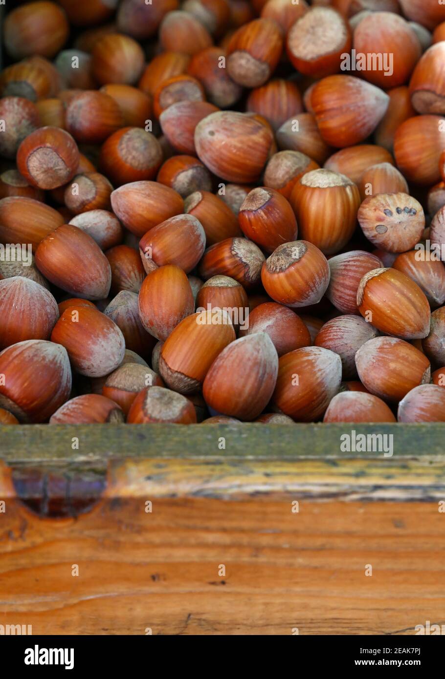 Whole big filbert hazelnuts close up background Stock Photo - Alamy