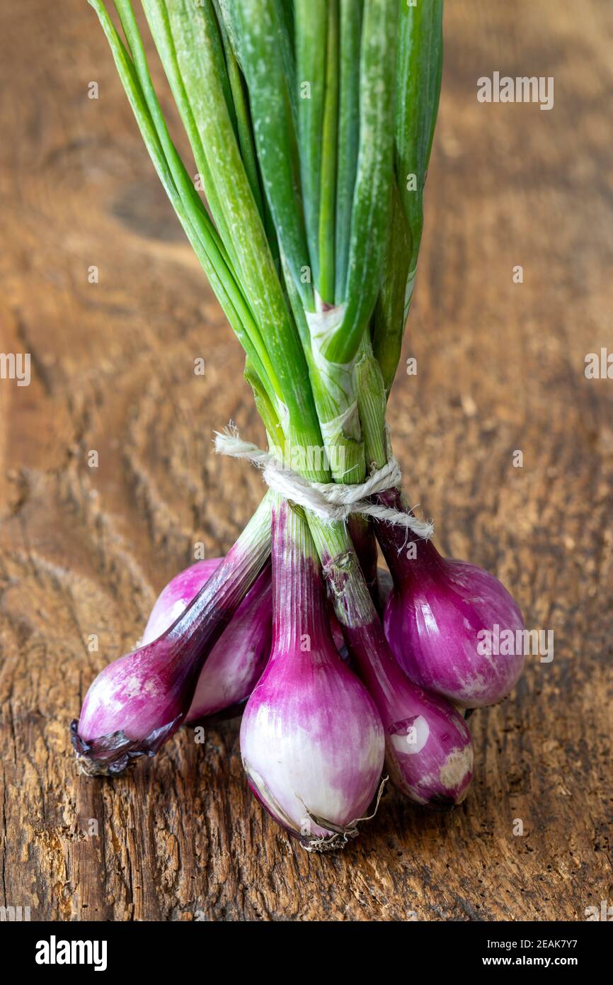 Onion stalk hi-res stock photography and images - Alamy