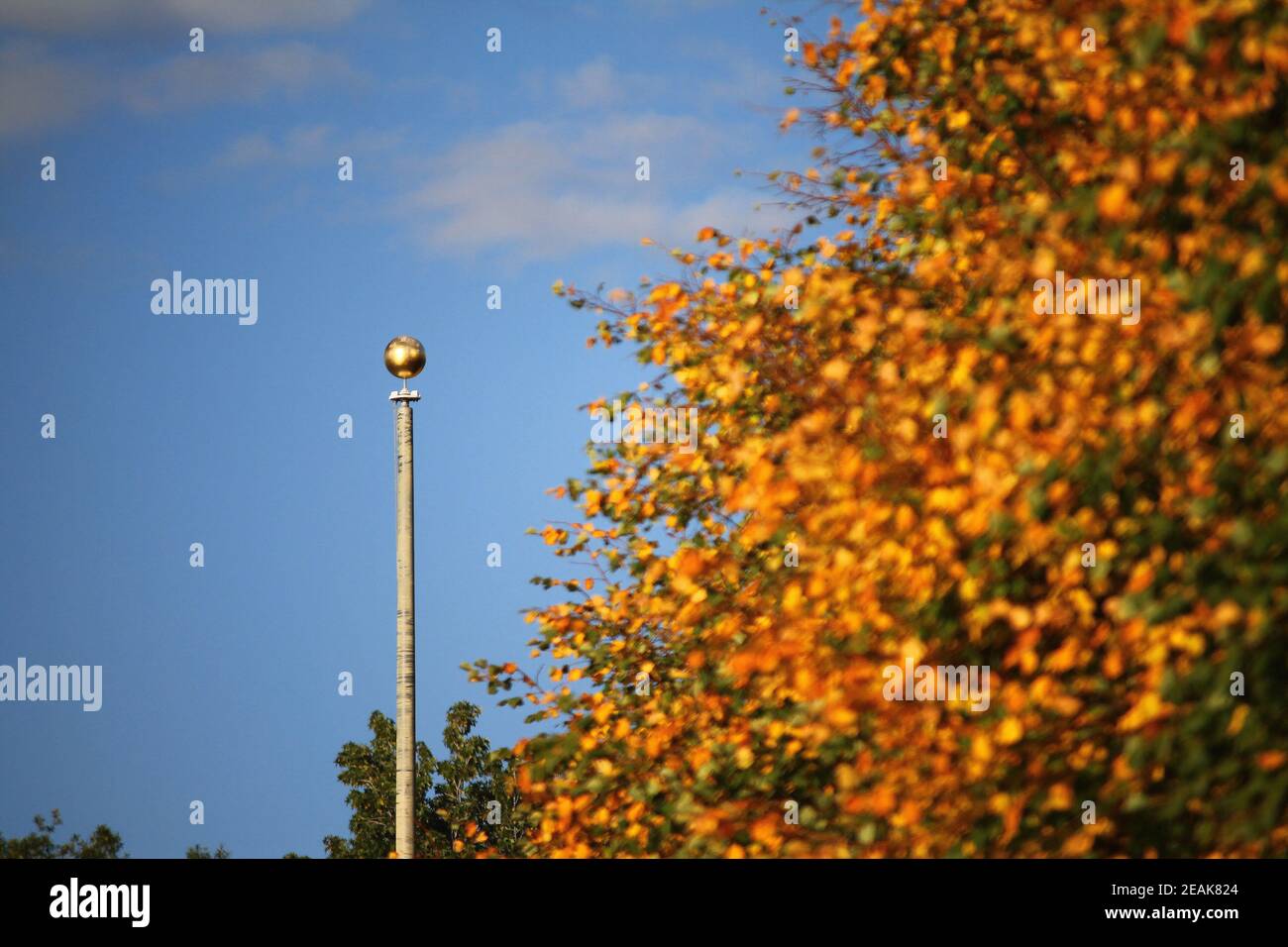 The golden flagpole and the autumn colored trees Stock Photo - Alamy