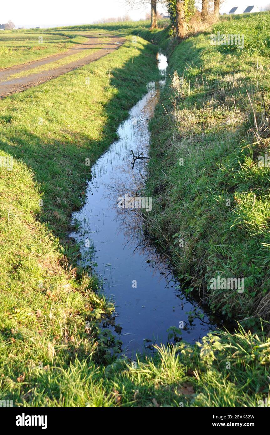 Ditch filled with water in Brittany Stock Photo - Alamy