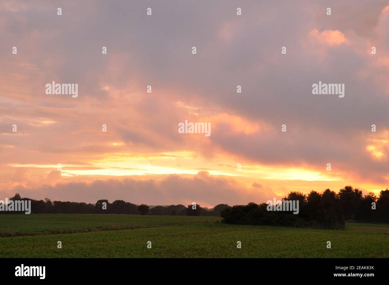 Sun rin hi-res stock photography and images - Alamy