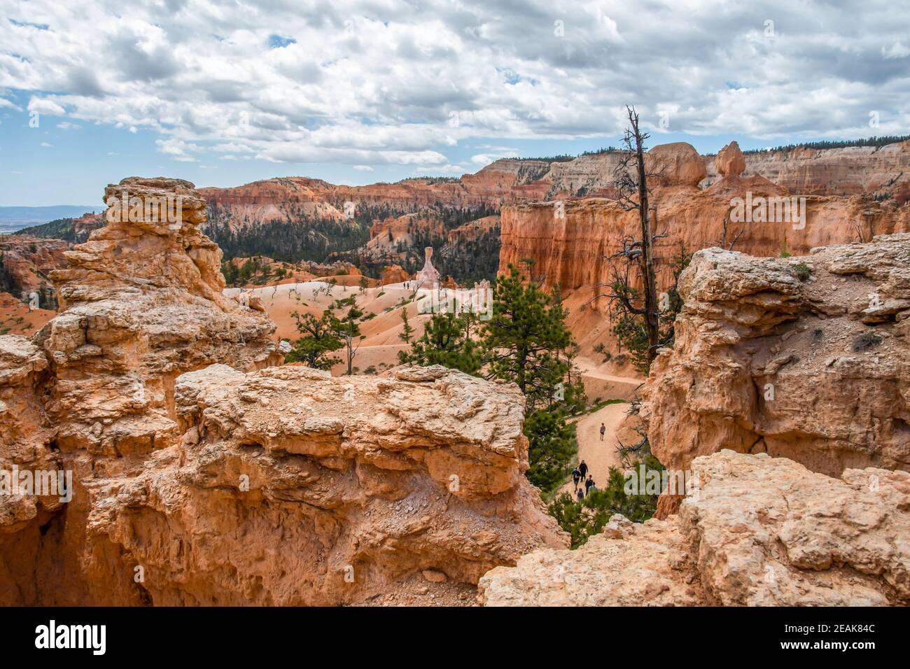Red Rocks Hoodoos in Bryce Point at Bryce Canyon National Park, Utah ...