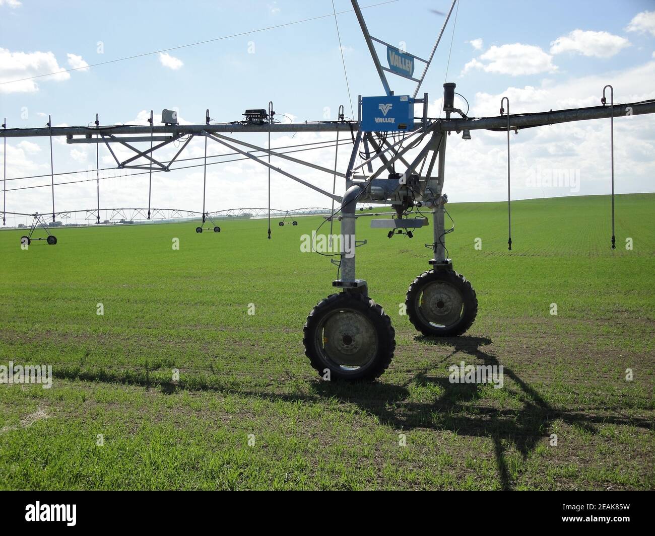 Irrigation of a field in Southern Alberta Stock Photo - Alamy