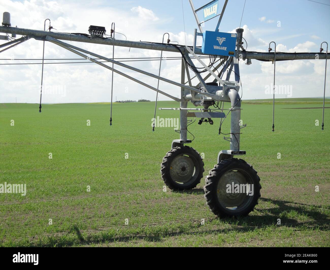 Irrigation of a field in Southern Alberta Stock Photo - Alamy