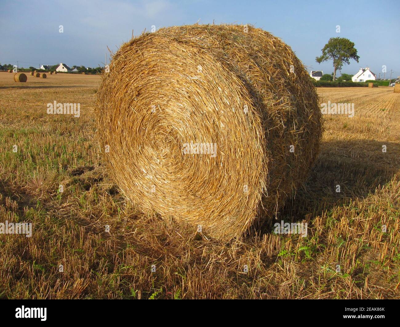 Crop environment hi-res stock photography and images - Alamy