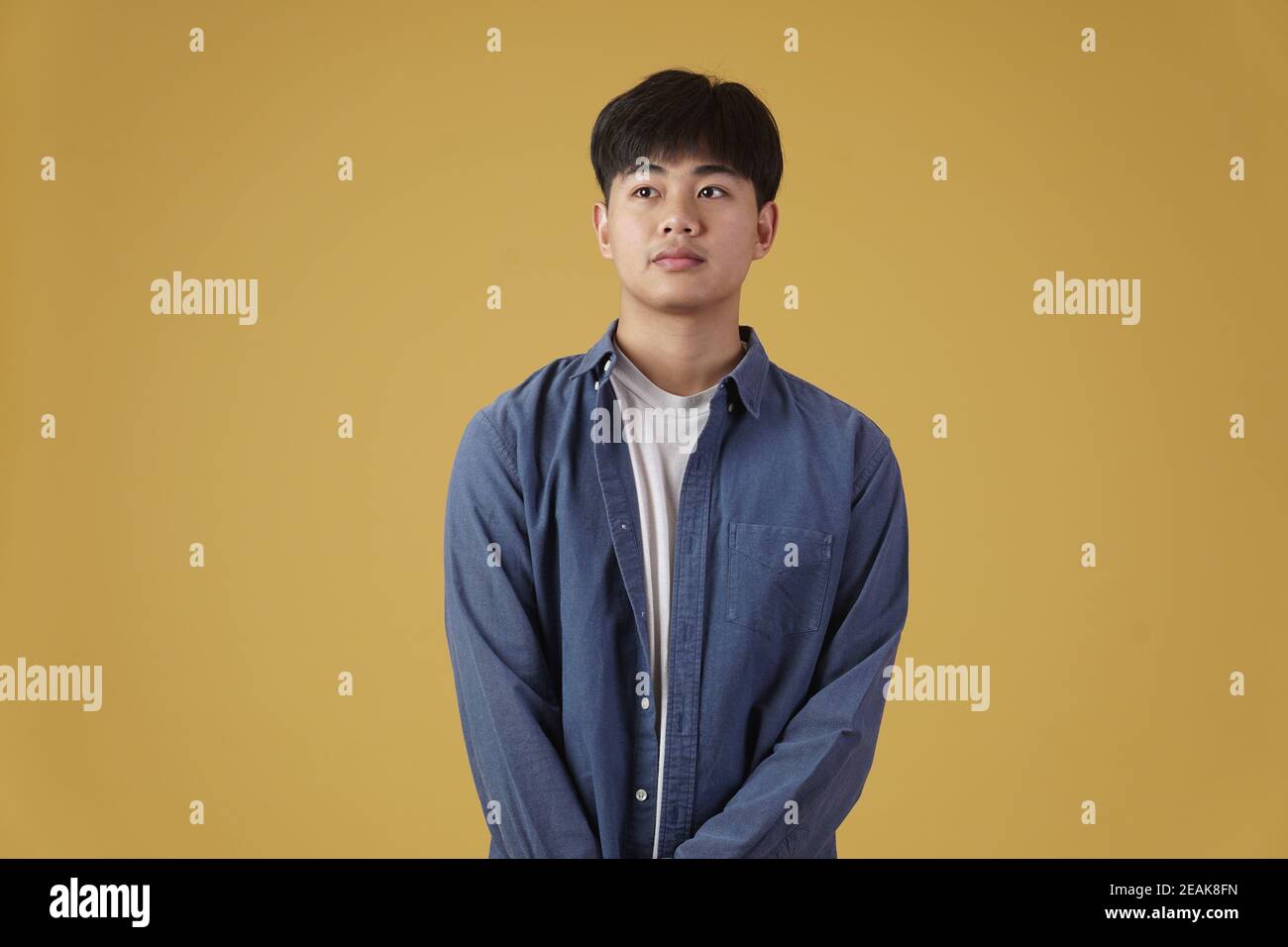 portrait of handsome young asian man dressed casually isolated on ...