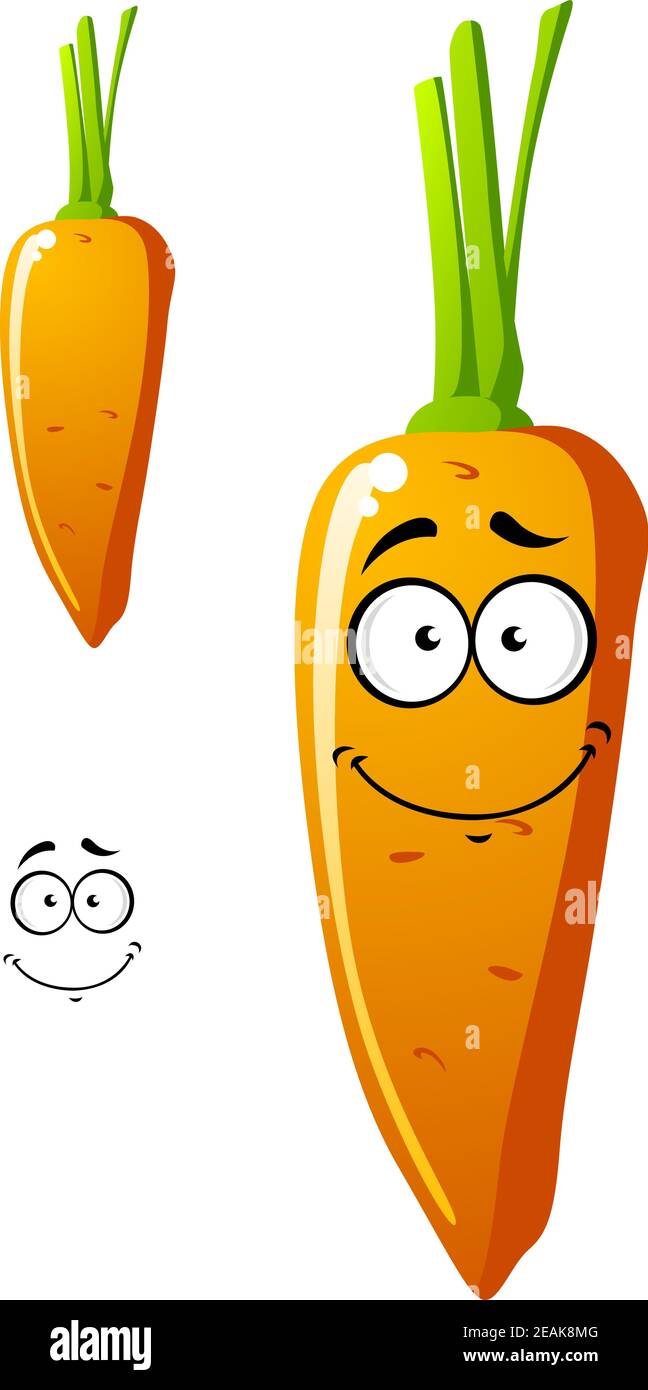 Funny carrot vegetable in cartoon style isolated on white Stock Vector ...