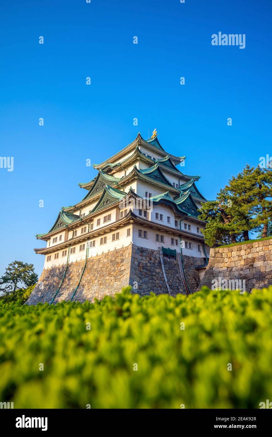 Nagoya castle and city skyline Stock Photo - Alamy