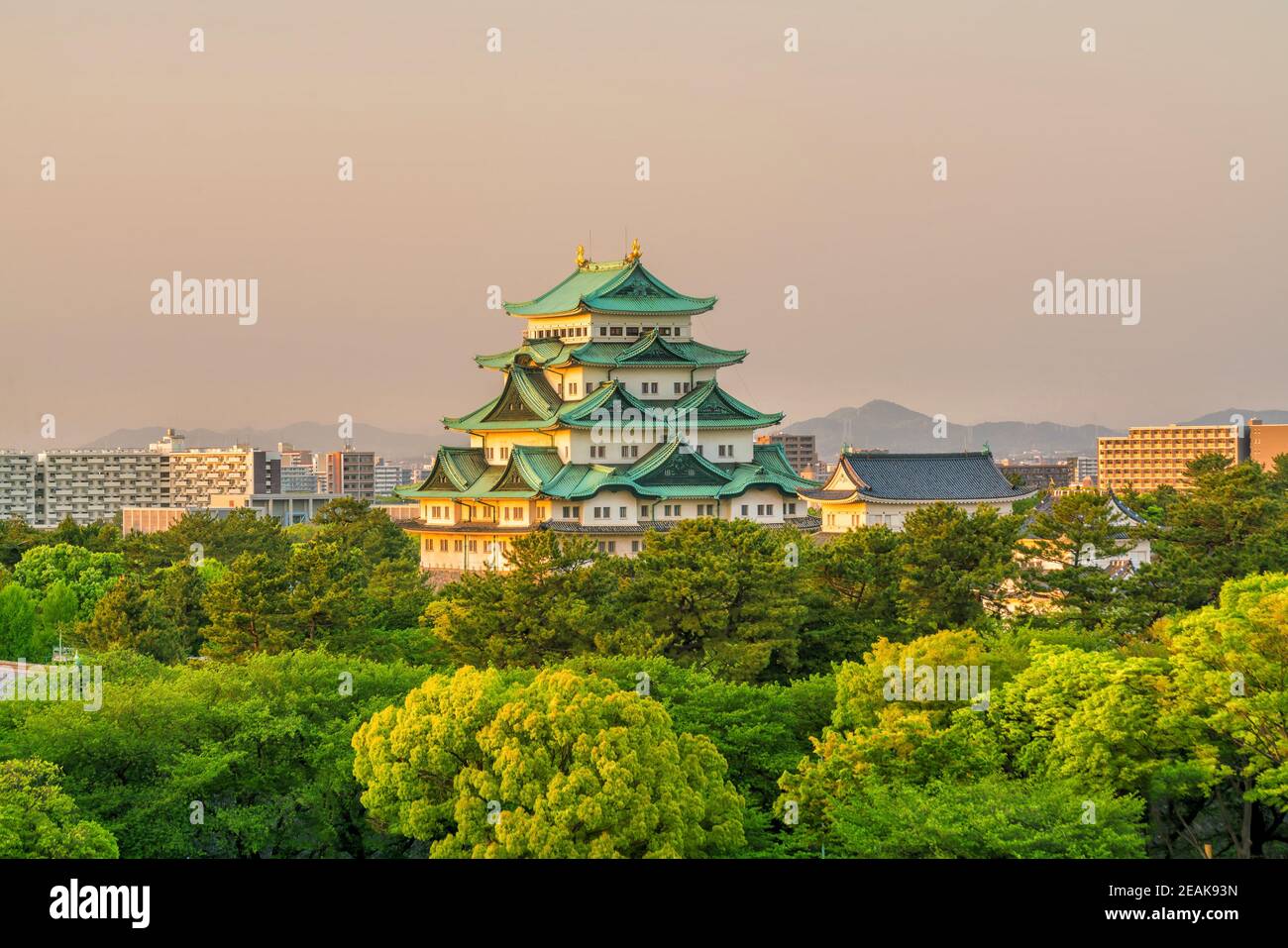 Nagoya castle and city skyline in Japan Stock Photo - Alamy