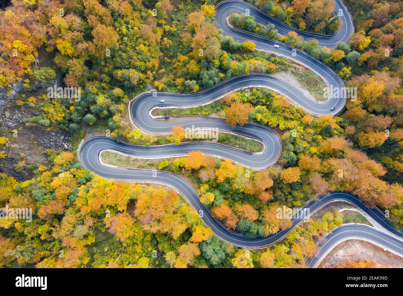 Beautiful autumn forest sunset aerial hi-res stock photography and ...