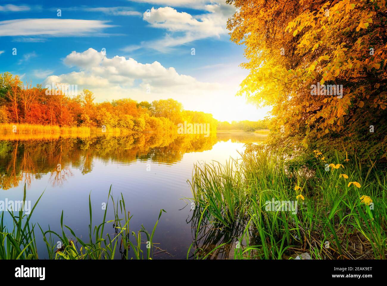 Yellow autumn on river hi-res stock photography and images - Alamy