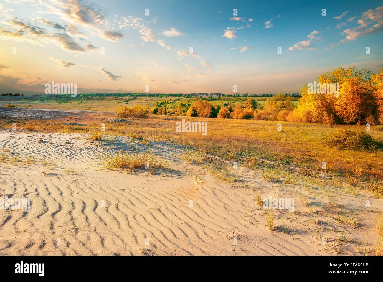 Desert in autumn Stock Photo - Alamy