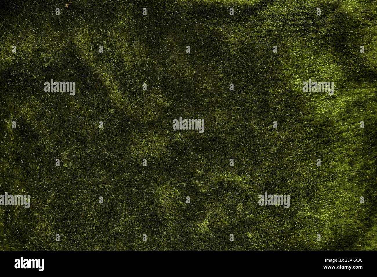 Green furry fabric texture Stock Photo - Alamy