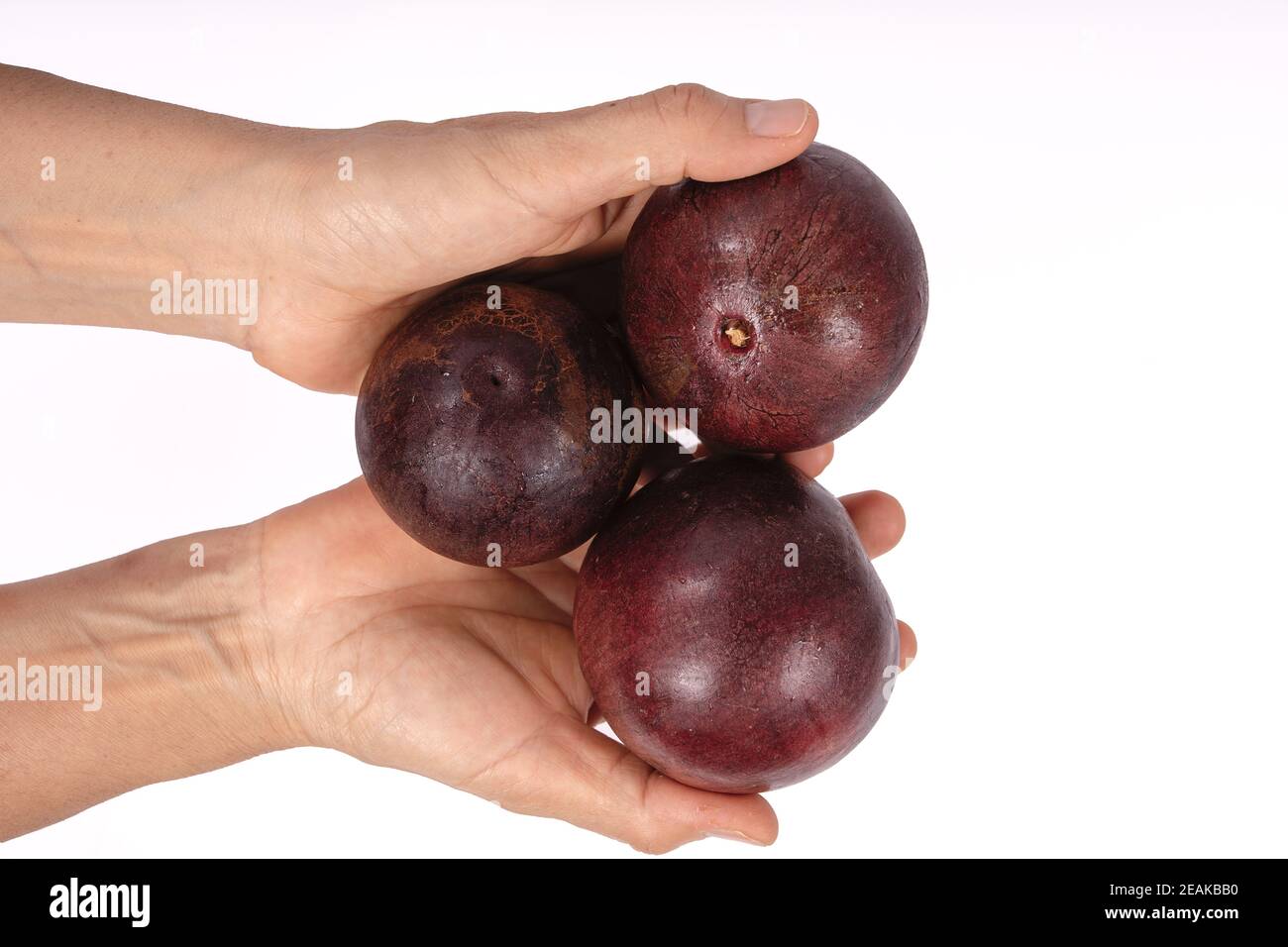 Milkfruit hi-res stock photography and images - Alamy