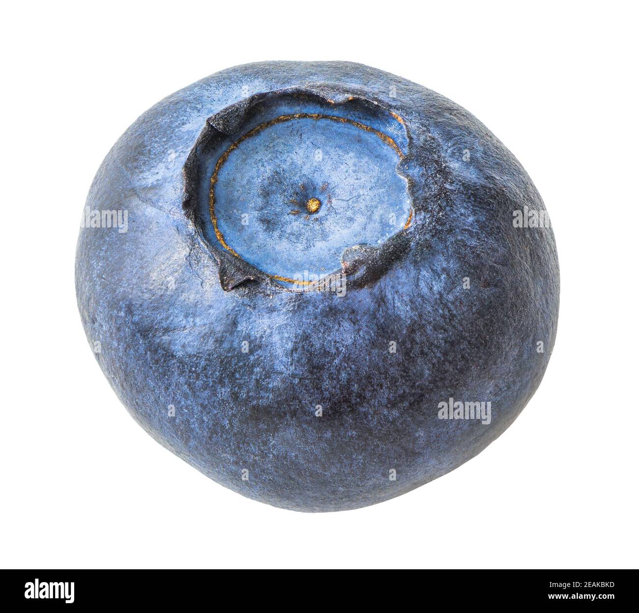 One blueberry hi-res stock photography and images - Alamy