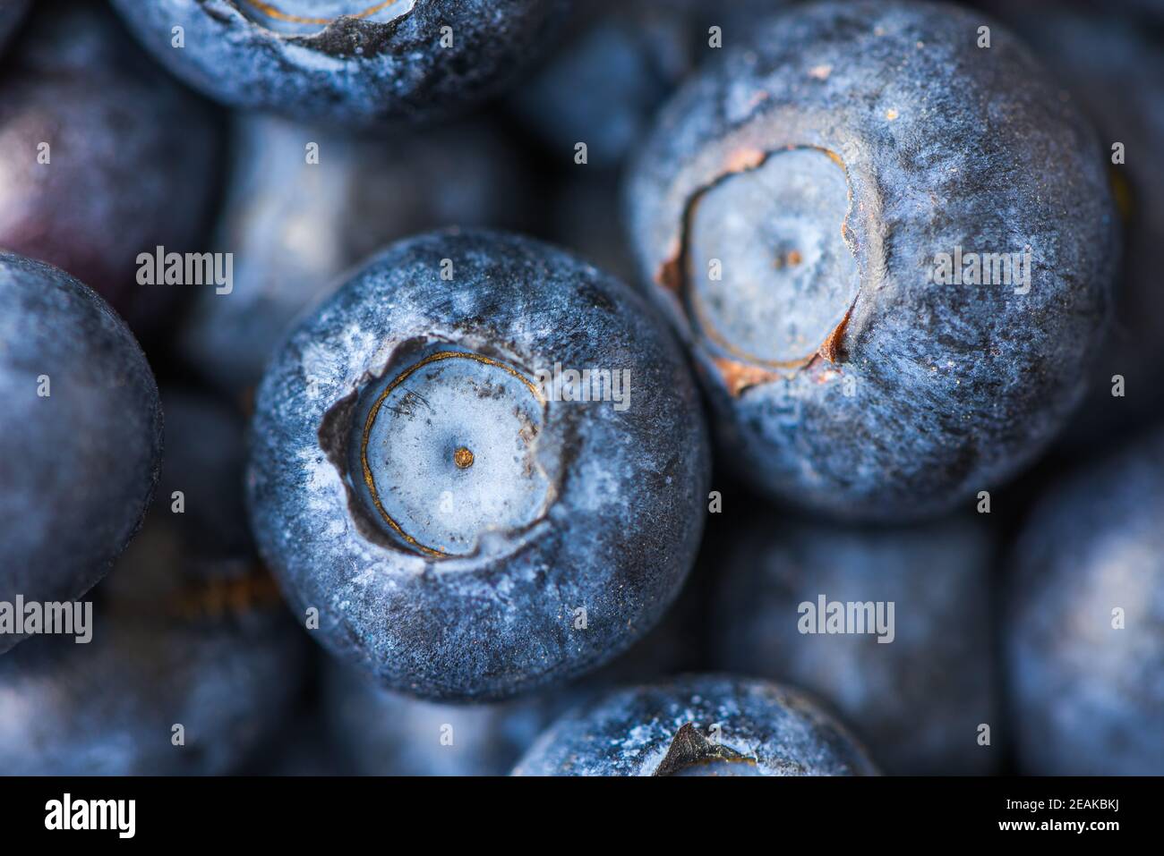 Fresh forest blueberry texture hi-res stock photography and images - Alamy