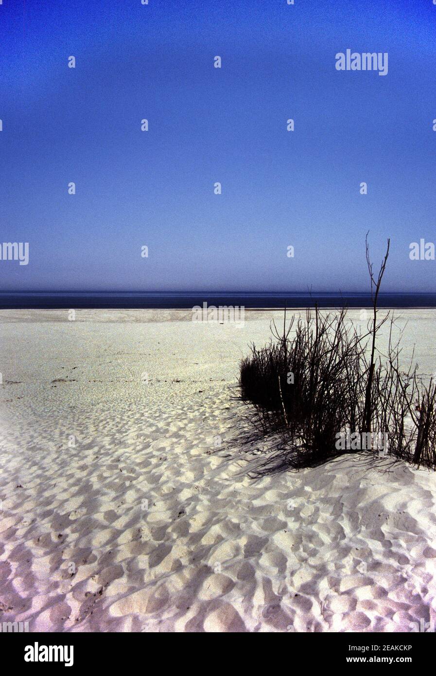 beach of Wangerooge Stock Photo - Alamy